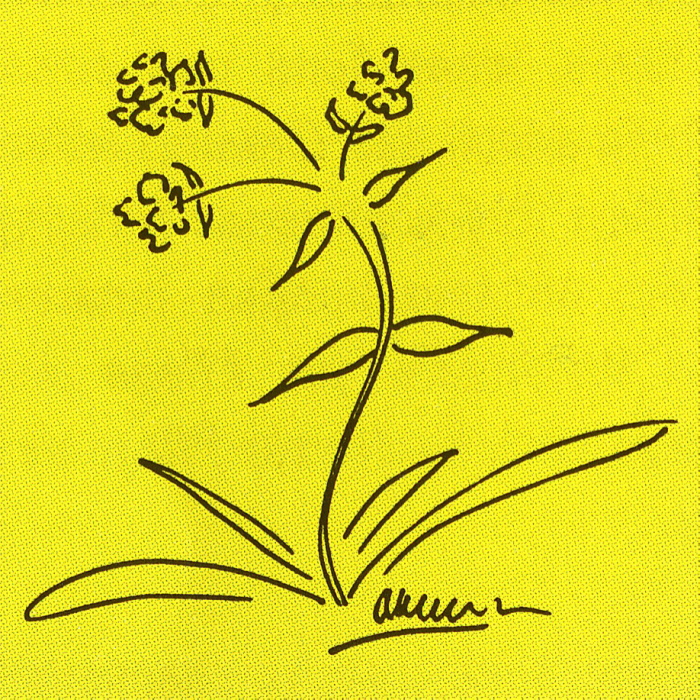 Indische Narde – Sinnenwohl